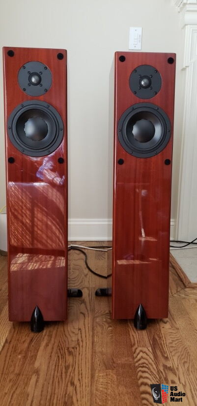Totem Forest Signatures Photo #4035866 - US Audio Mart