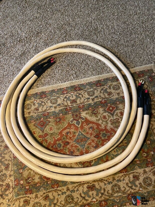 Tara Labs Space & Time Quantum II 10 ft pair For Sale - US Audio Mart