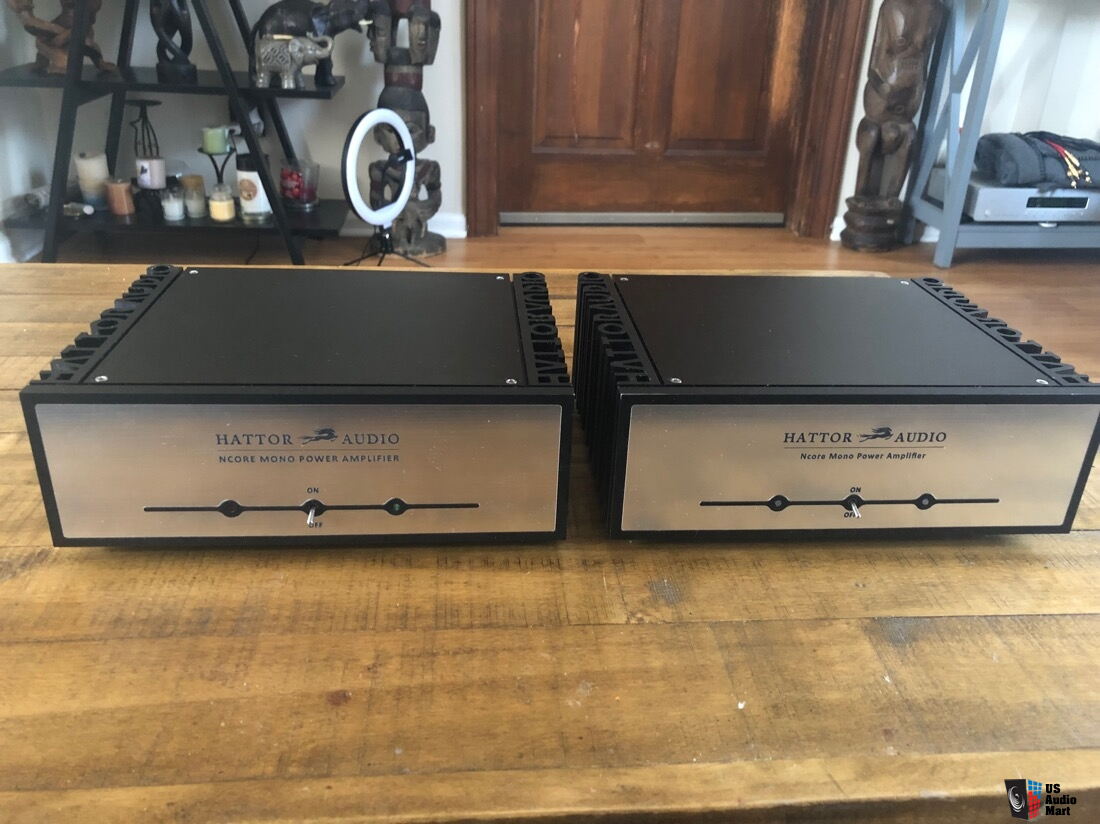 HATTOR AUDIO NC500MP Monoblock Amplifiers Photo #4053287 - US Audio Mart