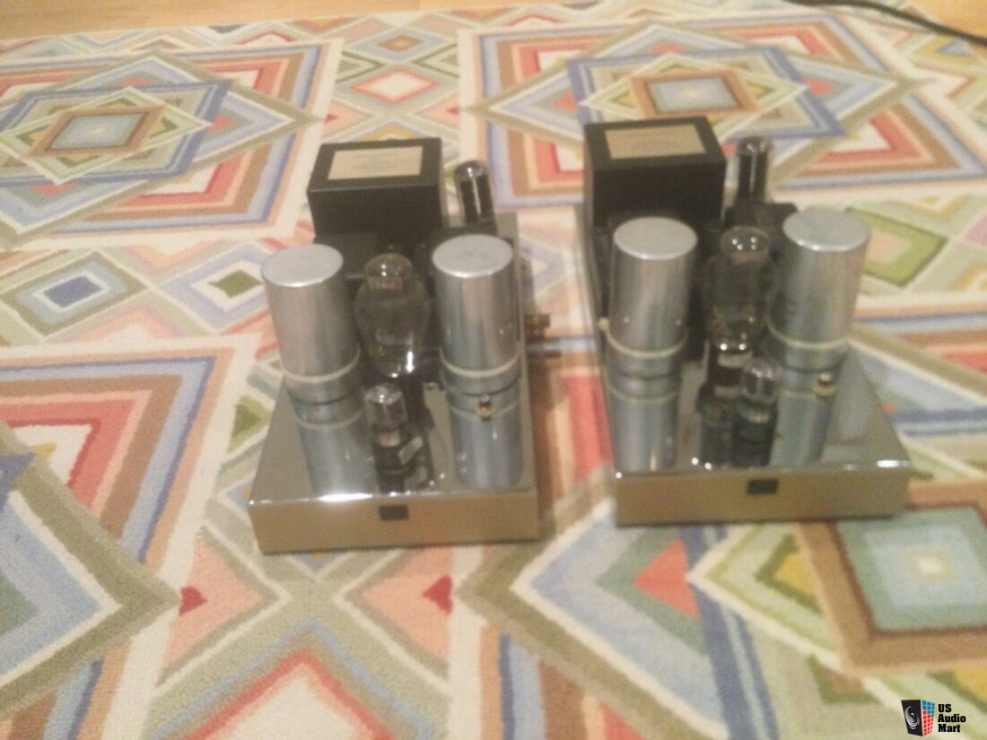 Golden Tube 300B Mono Amplifier Photo #4056112 - US Audio Mart