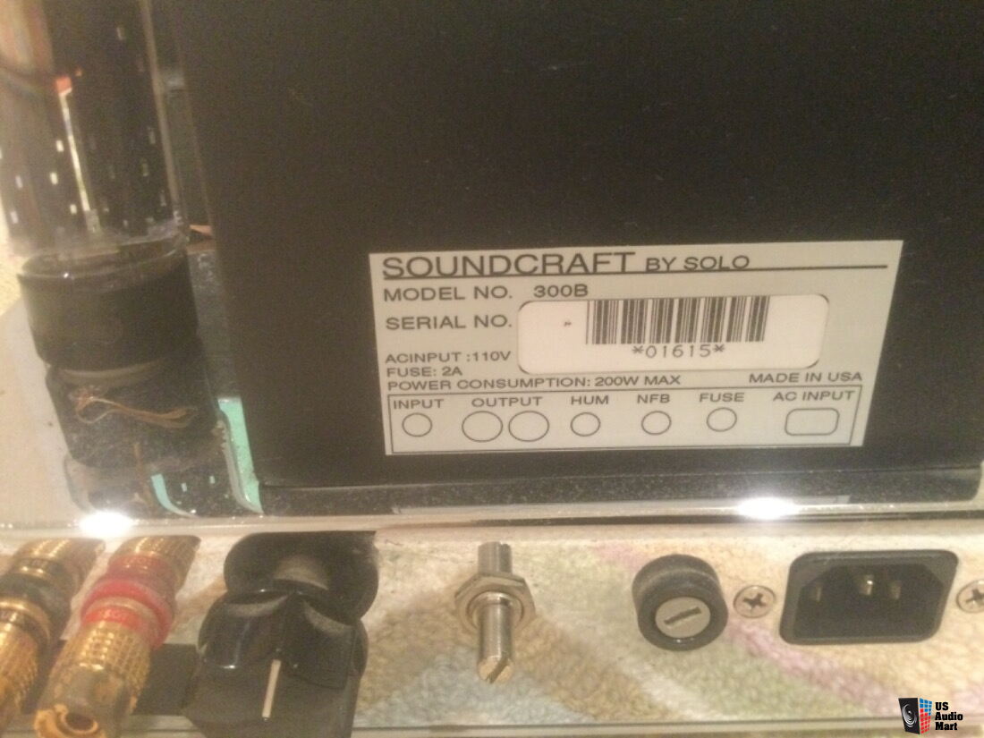 Golden Tube 300B Mono Amplifier Photo #4056110 - US Audio Mart