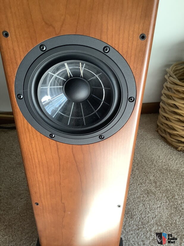 Vienna Acoustics Mozart Grand Symphony - Latest Version in Gorgeous ...
