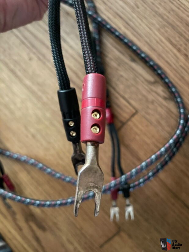 Audioquest CV8 Speaker Cables 8 feet Photo #4062374 - US Audio Mart