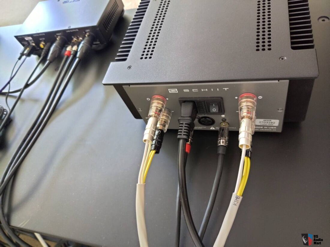 Schiit Aegir Amplifier Black CLASS A Photo #4065011 - US Audio Mart