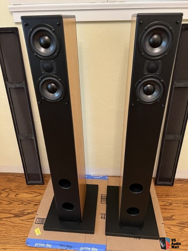Role Audio Enterprise dual transmission line speakers Photo #4072090 ...