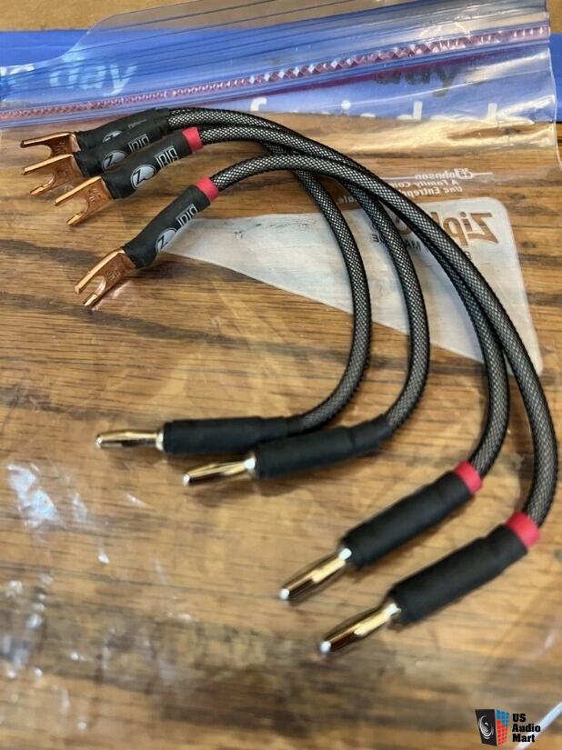 Role Audio Enterprise dual transmission line speakers Photo #4072100 ...