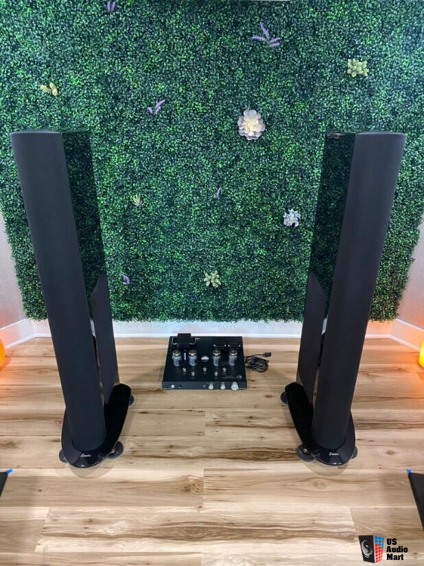 GoldenEar Triton One.R w/ Isoacoustics GAIA Photo #4072102 - US Audio Mart