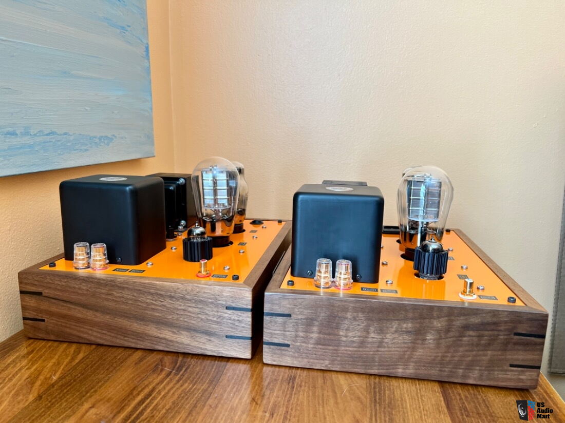 Triode Labs 45m SET mono 45 amplifier PAIR Photo #4072772 - US Audio Mart