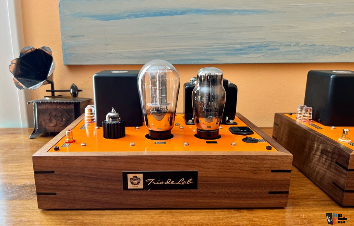 Triode Labs 45m SET mono 45 amplifier PAIR Photo #4072769 - US Audio Mart