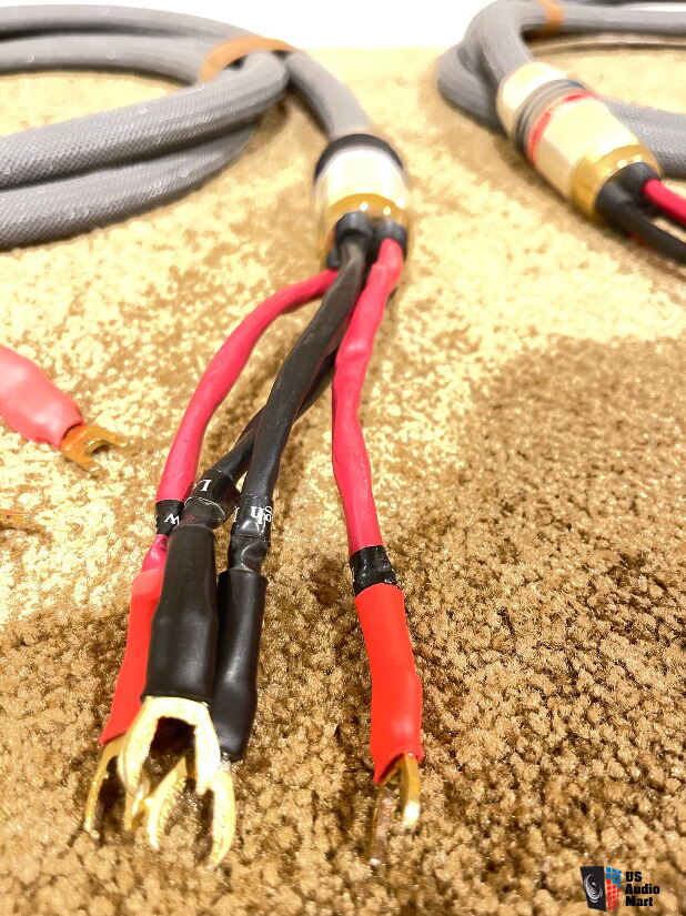 Monster M2.4 Bi-Wire Speaker Cables - 10 Foot Pair Photo #4077688 - US ...