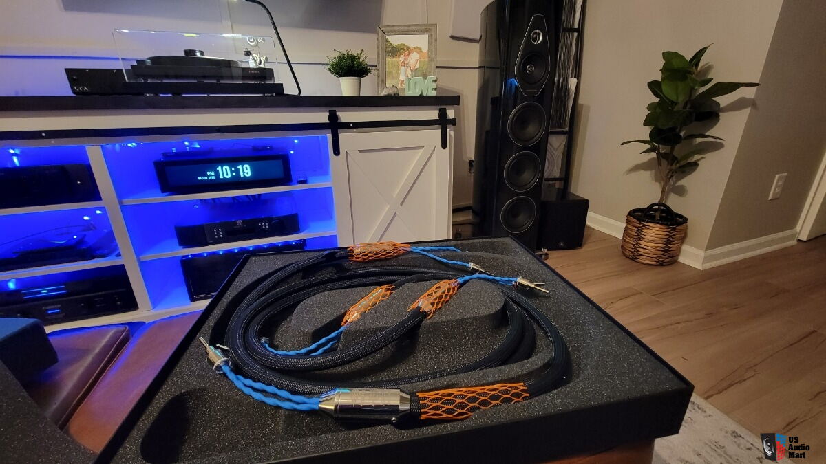 Siltech Anniversary 550L speaker cables 6 feet Photo #4086118 - UK ...