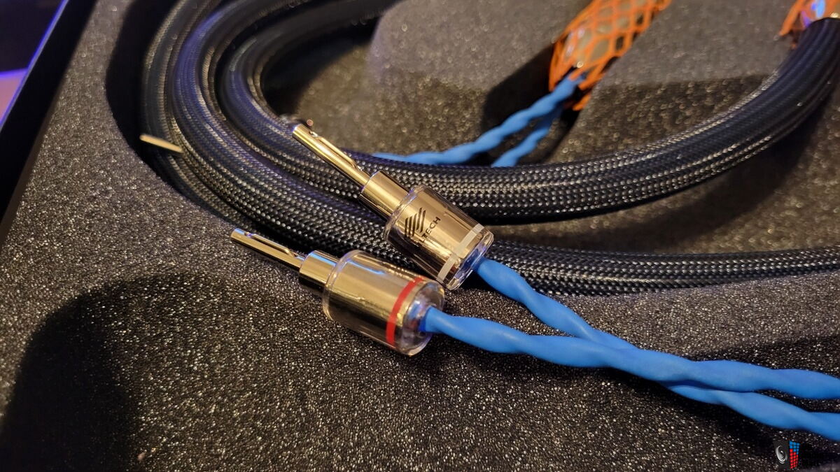 Siltech Anniversary 550L speaker cables 6 feet Photo #4086122 - US ...