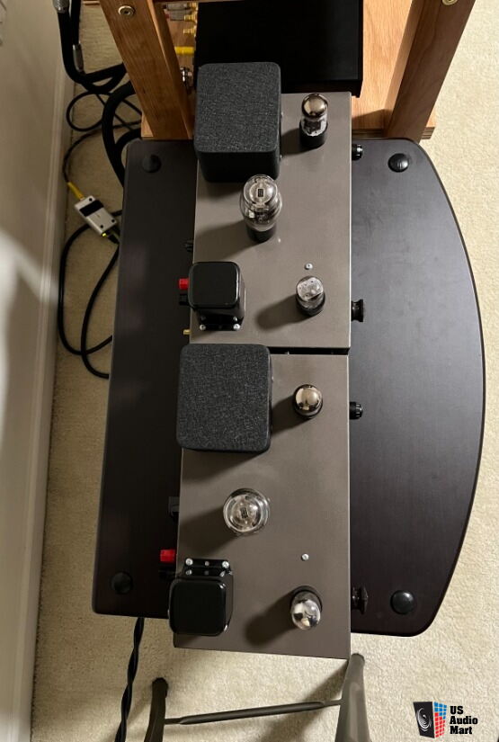 Alan Eaton SET 45 Monoblock amplifiers Photo #4125236 - US Audio Mart