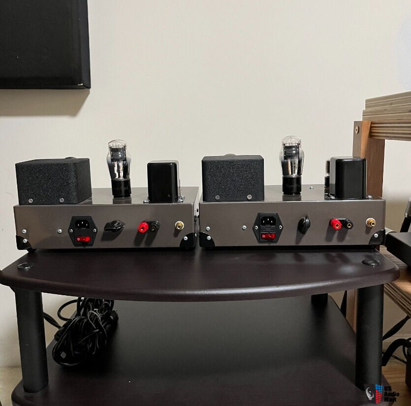 Alan Eaton SET 45 Monoblock amplifiers Photo #4125236 - US Audio Mart