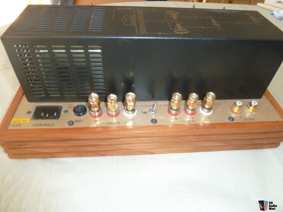 Music Reference RM-10 MK II Mono Blocs Photo #4127667 - US Audio Mart