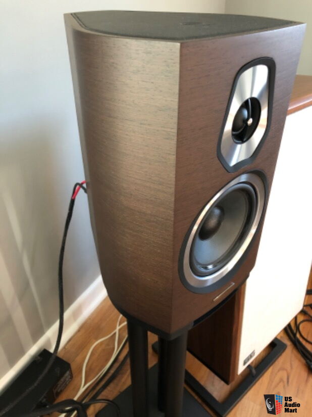 Sonus Faber Sonetto II Speakers in Wenge Photo #4129632 - US Audio Mart