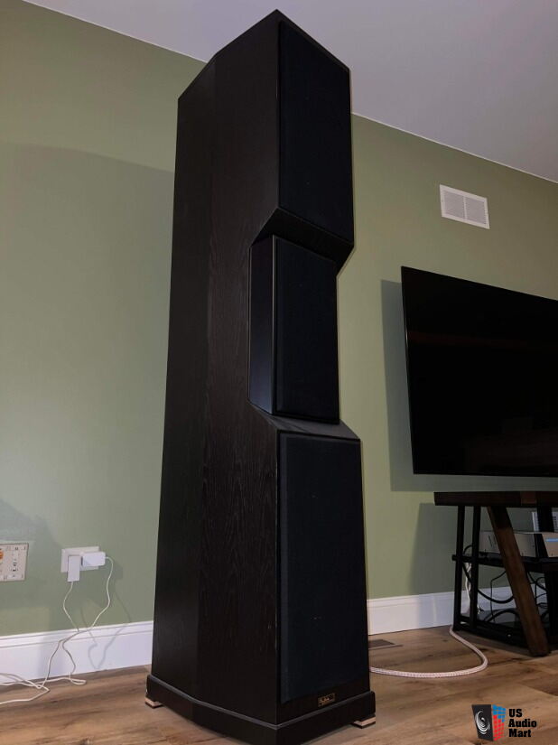 Tyler Acoustics D10 Tower Speakers Photo #4136659 - US Audio Mart