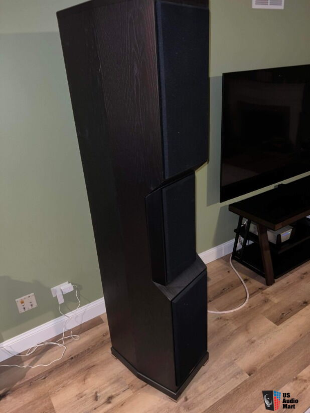 Tyler Acoustics D10 Tower Speakers Photo #4136661 - US Audio Mart