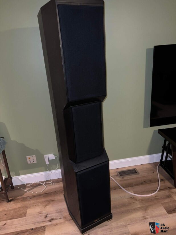 Tyler Acoustics D10 Tower Speakers Photo #4136662 - US Audio Mart