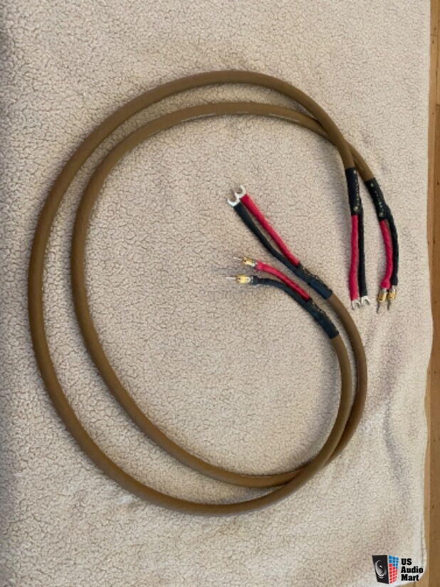 Cardas Golden Cross Speaker Cables Photo #4137100 - US Audio Mart