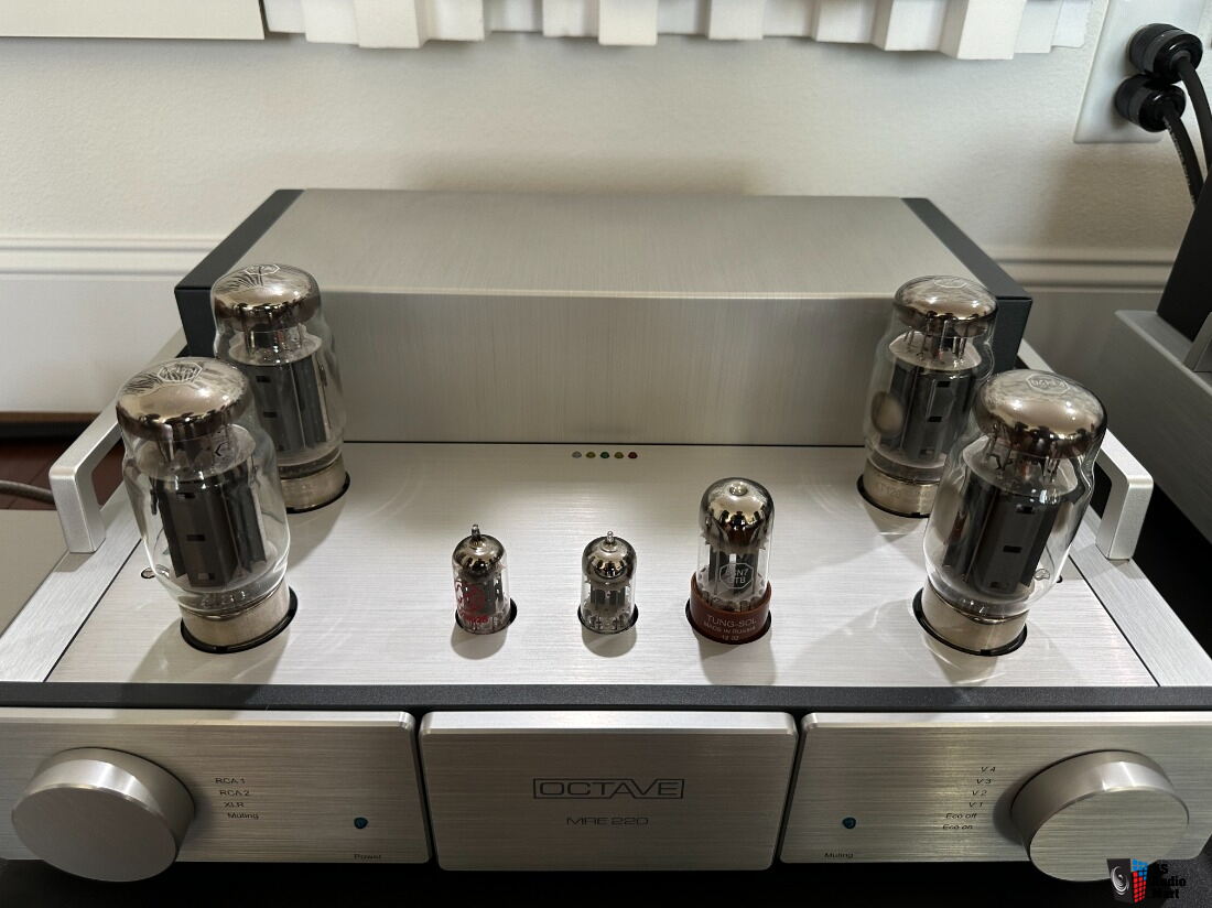 Octave Audio MRE220 Monoblocks in Silver Photo #4139693 - US Audio Mart