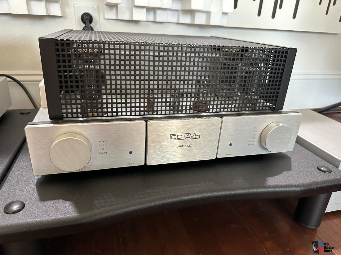 Octave Audio MRE220 Monoblocks in Silver Photo #4139694 - Canuck Audio Mart