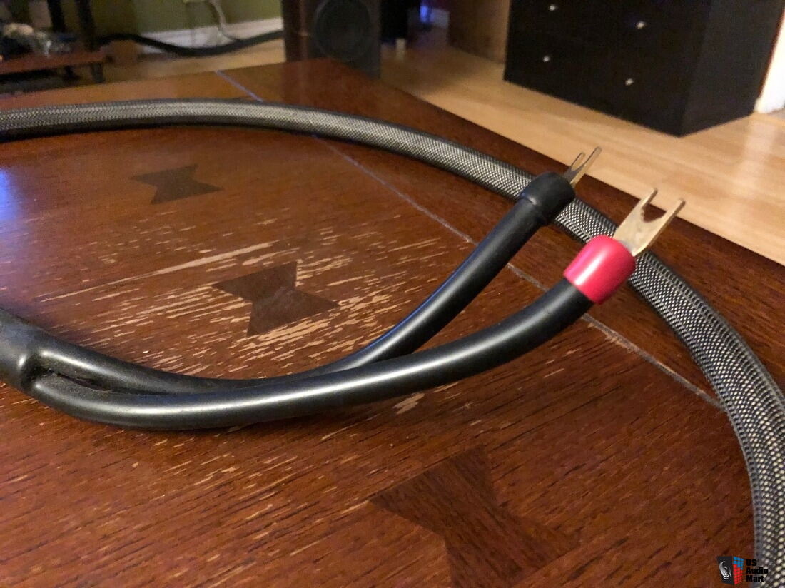 Transparent Audio Ultra MM2 Cables Photo #4147457 - US Audio Mart