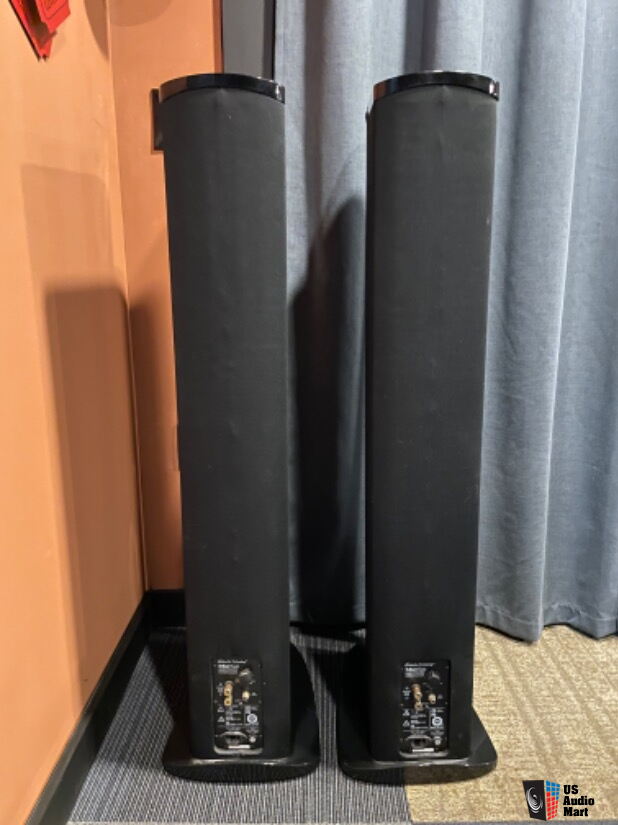 GoldenEar Triton Two Speakers with built-in subwoofers Photo #4150156 ...