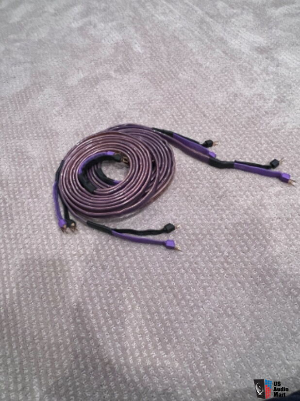 Analysis Plus Oval 9 double shotgun 8' pair with spade terminations ...