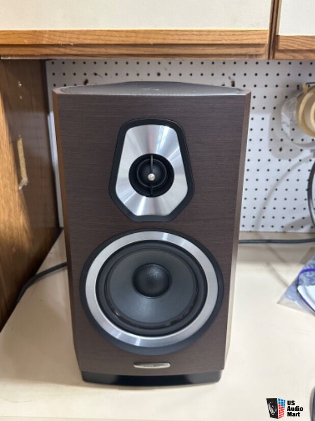 Sonus Faber Sonetto II speakers in Wenge Photo #4156384 - US Audio Mart