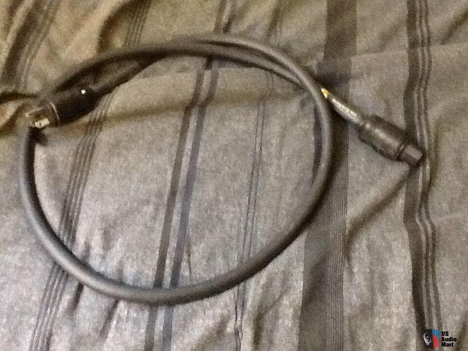 cardas cable Photo #4157405 - US Audio Mart