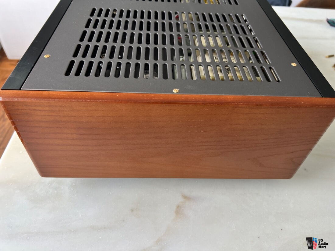 LEBEN HI-FI CS-600X Integrated Amplifier Photo #4157973 - US Audio Mart