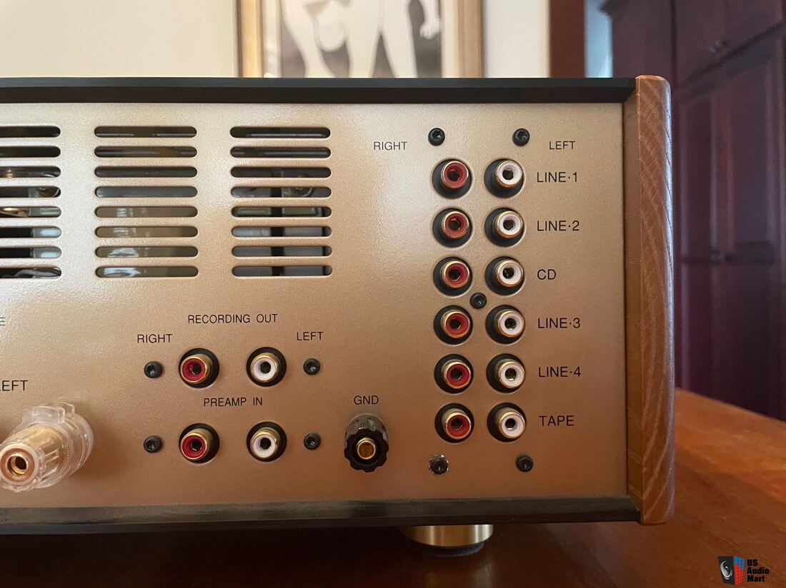LEBEN CS 600 X Photo #4163372 - US Audio Mart