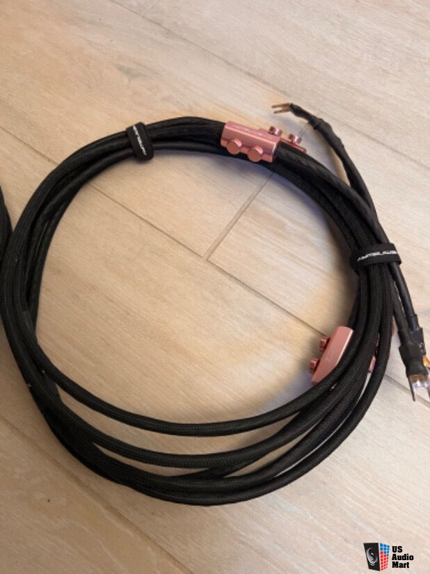 Hemingway ZCore Sigma Photo #4172105 - US Audio Mart