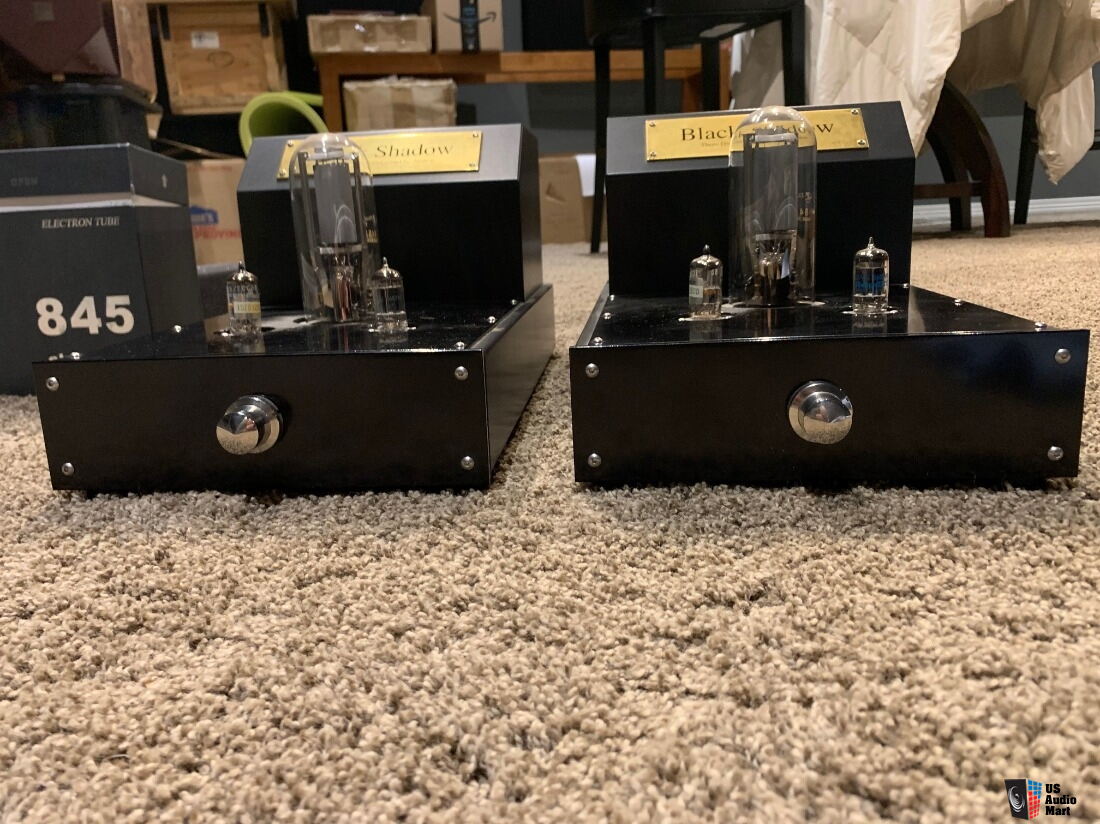Audion Black Shadows mono blocks (845 based Single Ended Triode SET ...