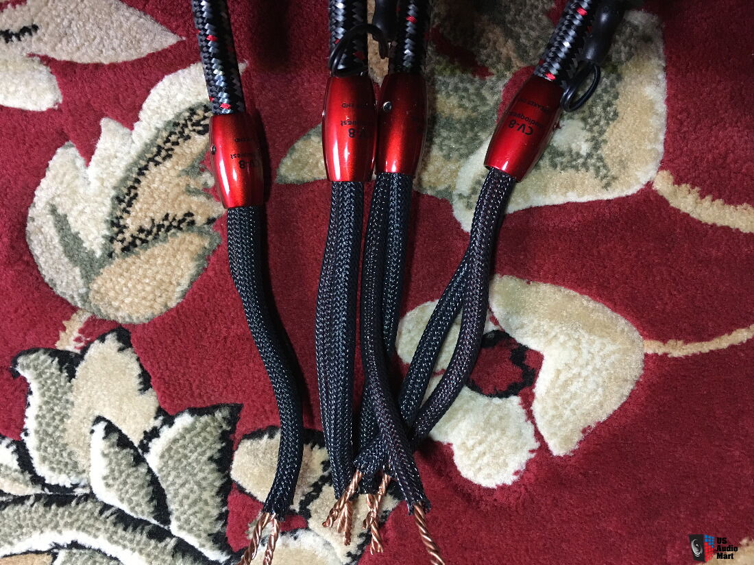 Audioquest CV-8 10 FOOT PAIR with DBS PACKS Photo #4195115 - US Audio Mart
