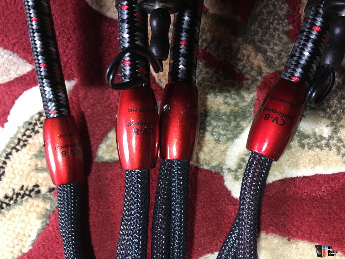 Audioquest CV-8 10 FOOT PAIR with DBS PACKS Photo #4195110 - US Audio Mart
