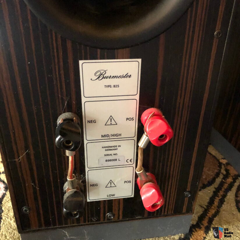 Burmester B25 Speakers Photo #4203704 - US Audio Mart