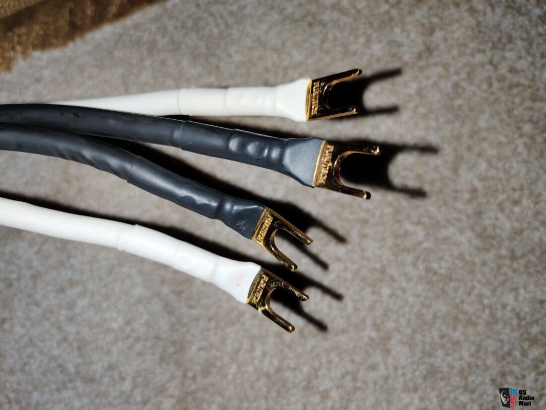 Gryphon Masterline Speaker Cables 1.75M Photo #4205666 - US Audio Mart