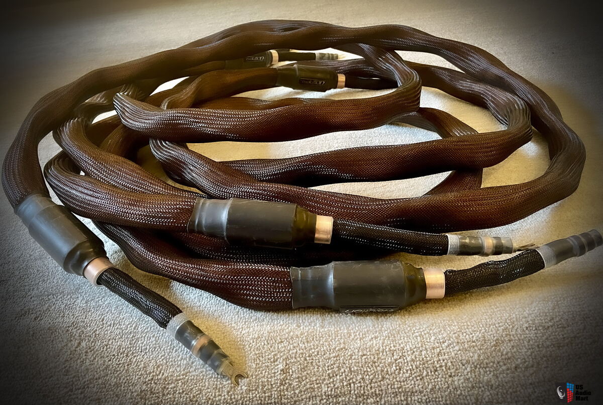 Evolution Acoustics (TRSC) Triple Run Speaker Cable pair-- RARE! Photo ...