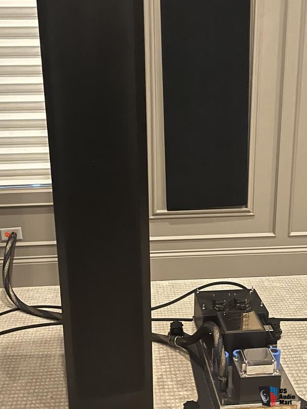 Piega Master Line Source 2 ribbon speakers Steal Photo #4210690 ...