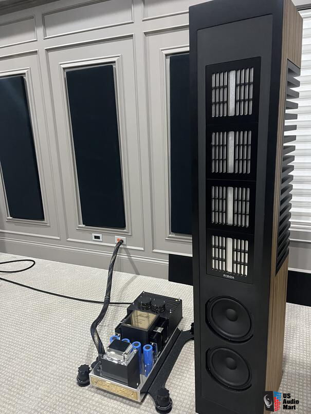 Piega Master Line Source 2 ribbon speakers Photo #4210686 - US Audio Mart