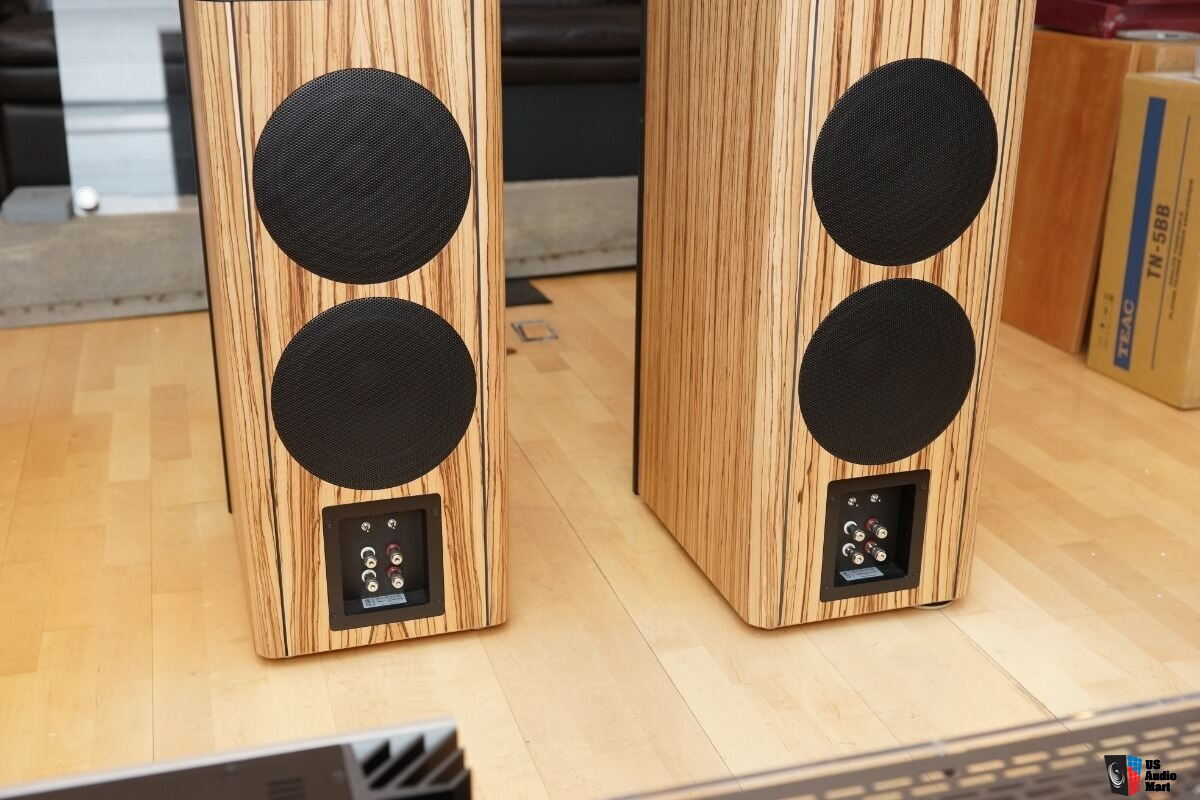 Piega Master Line Source 2 ribbon speakers Photo #4210693 - US Audio Mart