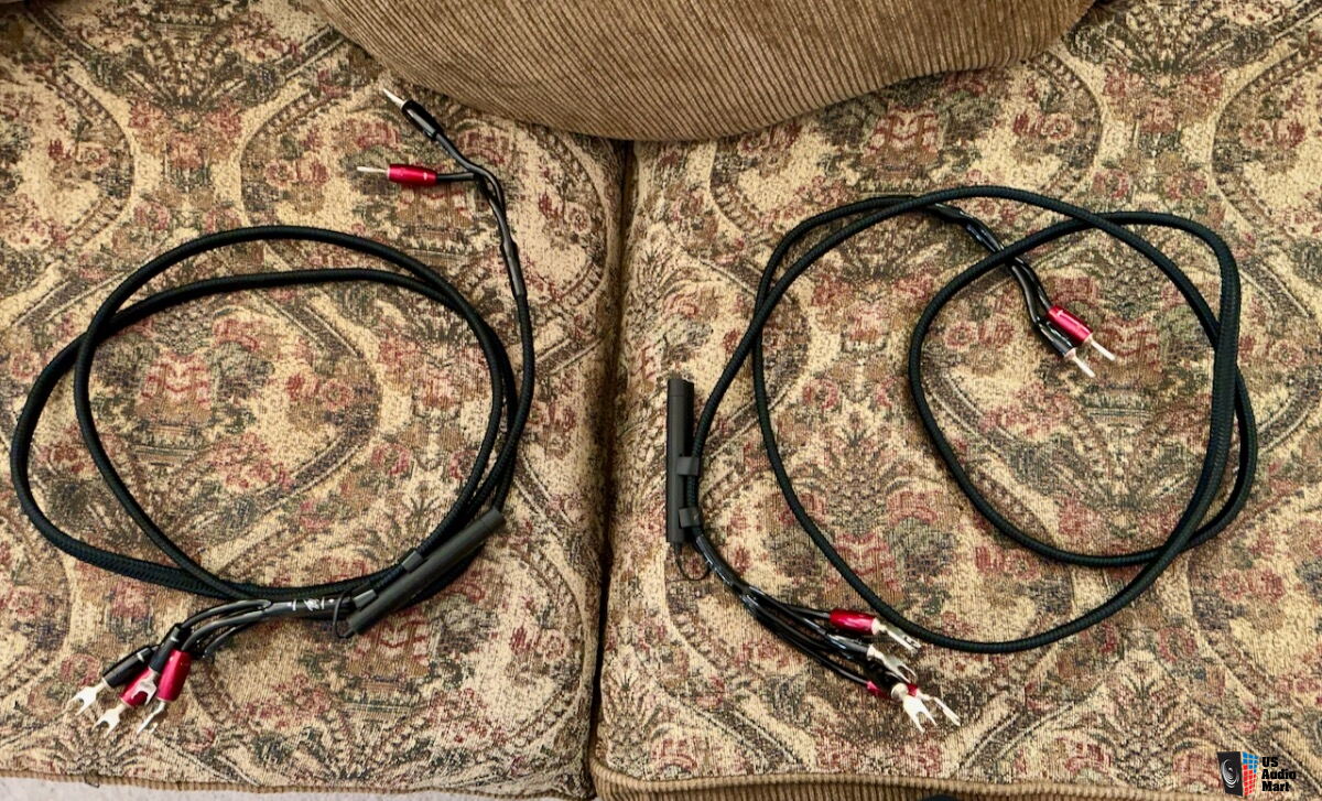 AudioQuest Rocket 88 Speaker Cables - 8 feet, bi-wire For Sale - Canuck ...
