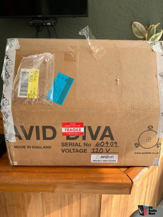 Avid Diva II Turntable Photo #4211217 - US Audio Mart