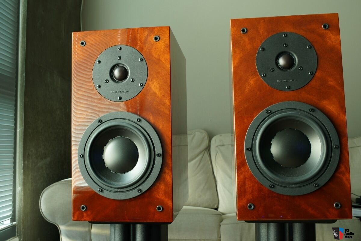 Swans (Hivi) D2.1SE+ Rosewood speakers Photo #4213242 - US Audio Mart