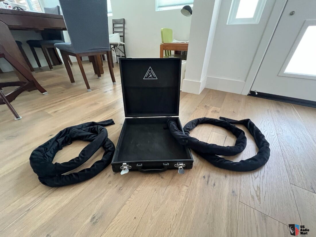 A Pair of Shunyata Power Cable (Demo Cables) For Sale - US Audio Mart