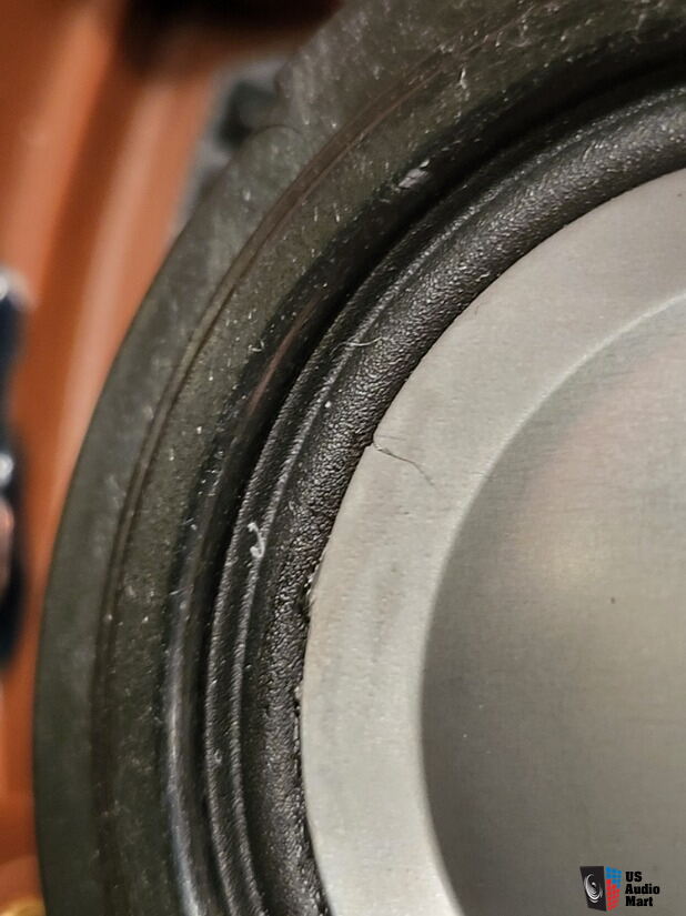Focal Stellia with Cracked Driver, Original Box and Accesories, Very ...