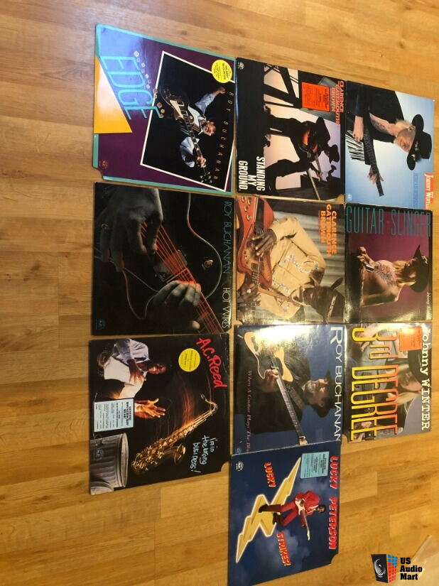 Alligator records blues lot Albert collins Johnny winter Koko taylor 39 ...