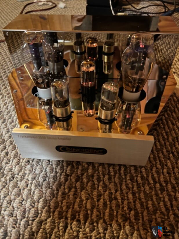 Coincident 300B Frankenstein stereo amplifier Photo #4239764 - US Audio ...
